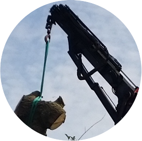 Wolverhampton Tree Service Ltd